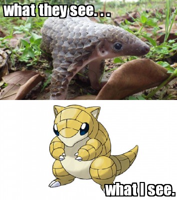 Meme Maker - what they see. . . what I see. Meme Generator!