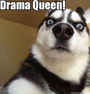Meme Maker - Drama Queen! Meme Generator!
