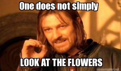 Meme Maker - One does not simply LOOK AT THE FLOWERS Meme Generator!