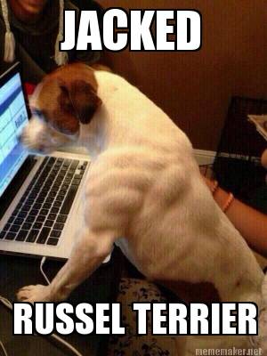 Meme Maker - JACKED RUSSEL TERRIER Meme Generator!