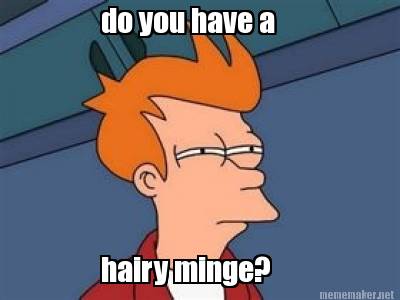 Meme Maker - do you have a hairy minge? Meme Generator!
