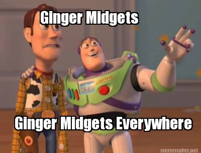Meme Maker - Ginger Midgets Ginger Midgets Everywhere Meme Generator!