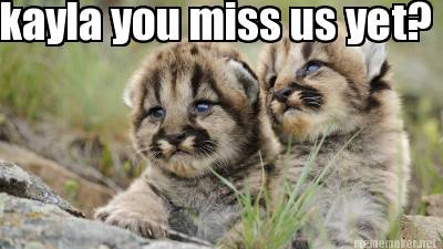 Kayla Meme