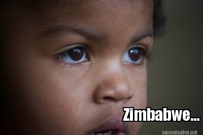 Meme Maker - Zimbabwe... Meme Generator!