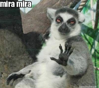Meme Maker - mira mira Meme Generator!