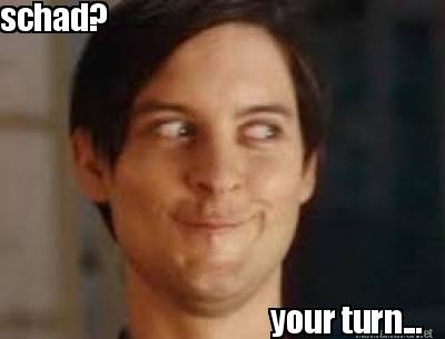 Meme Maker - schad? your turn... Meme Generator!