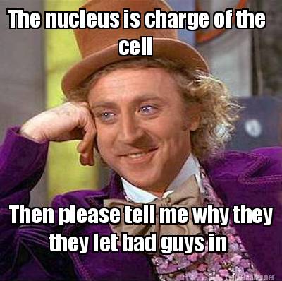 Meme Maker - The nucleus is charge of the cell Then please tell me why ...
