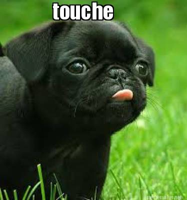 Touche Meme