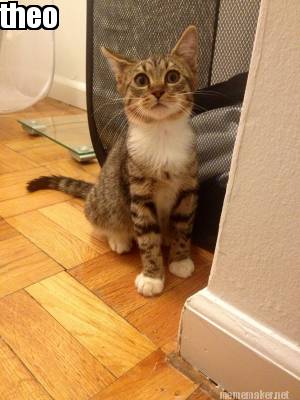 Meme Maker - Theo Meme Generator at Meme Maker!