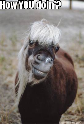 Meme Maker - How YOU doin'? Meme Generator!