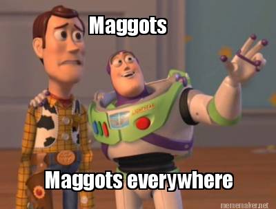 Meme Maker - Maggots Maggots everywhere Meme Generator!