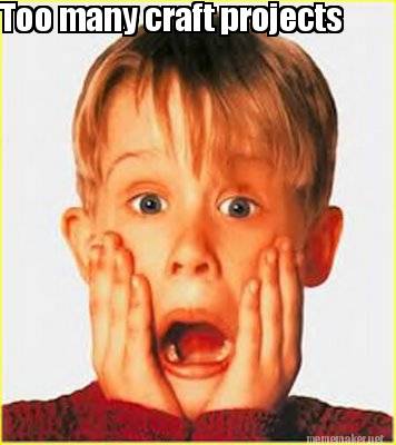 Meme Maker - Too many craft projects Meme Generator!