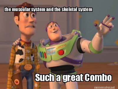 Meme Maker - the muscular system and the skeletal system Such a great ...