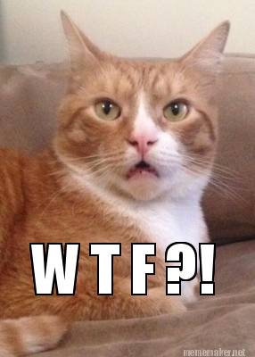 Wtf Cat Meme