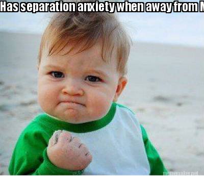 Meme Maker - Has separation anxiety when away from MB Meme Generator!