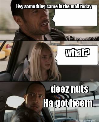 Meme Maker - Hey something came in the mail today what? deez nuts Ha ...