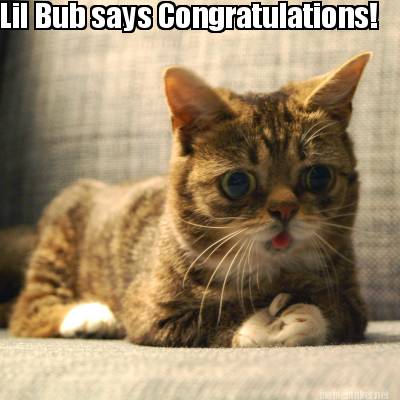 Lil Bub Meme Generator