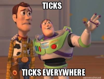 Meme Maker - TICKS TICKS EVERYWHERE Meme Generator!