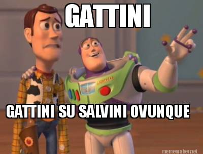 Meme Maker - GATTINI GATTINI SU SALVINI OVUNQUE Meme Generator!