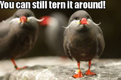 Meme Maker - You can still tern it around! Meme Generator!