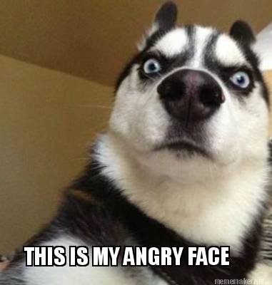 Funny Angry Face Meme