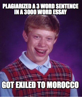 Meme Maker - plagiarized a 3 word sentence in a 3000 word essay got ...
