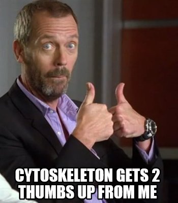 Meme Maker - Cytoskeleton gets 2 thumbs up from me Meme Generator!