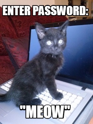 Meme Maker - Enter password: "meow" Meme Generator!