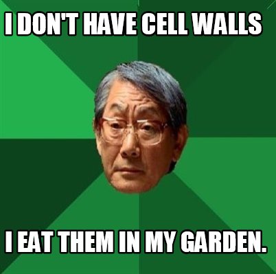 Meme Maker - I DON'T HAVE CELL WALLS I EAT THEM IN MY GARDEN. Meme ...