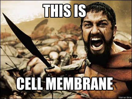 Meme Maker - THIS IS CELL MEMBRANE Meme Generator!