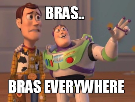Meme Maker - BRAS.. BRAS EVERYWHERE Meme Generator!