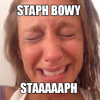 Meme Maker - STAPH BOWY STAAAAAPH Meme Generator!