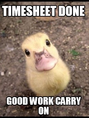 Meme Maker - Timesheet Done Good Work Carry On Meme Generator!