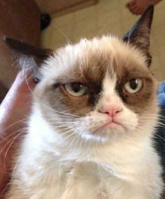 Meme Maker - Idih caper LO !!! Meme Generator!