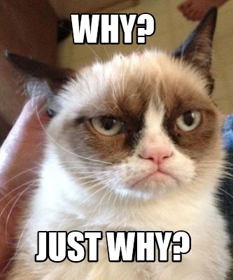 Meme Maker - Why? Just WHY? Meme Generator!