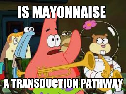 Meme Maker - Is mayonnaise A transduction pathway Meme Generator!
