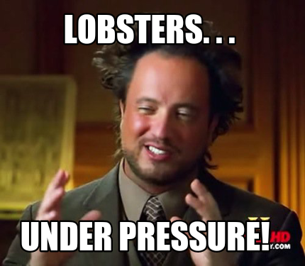 Meme Maker - Lobsters. . . Under pressure! Meme Generator!