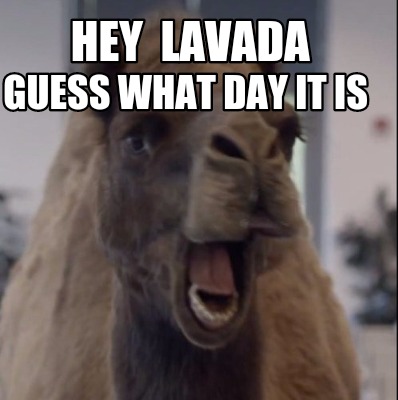 Guess What Day It Is Meme