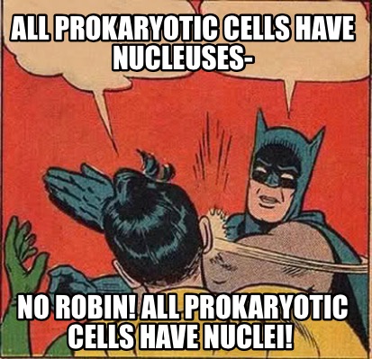 Meme Maker - All prokaryotic cells have nucleuses- No robin! All ...