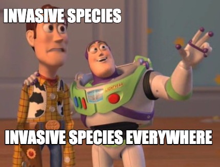 Meme Maker - INvasive species Invasive species everywhere Meme Generator!