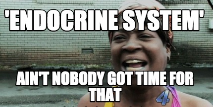 Meme Maker - 'Endocrine System' AIN'T NOBODY GOT TIME FOR THAT Meme ...