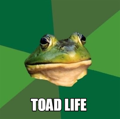 Meme Maker - toad life Meme Generator!