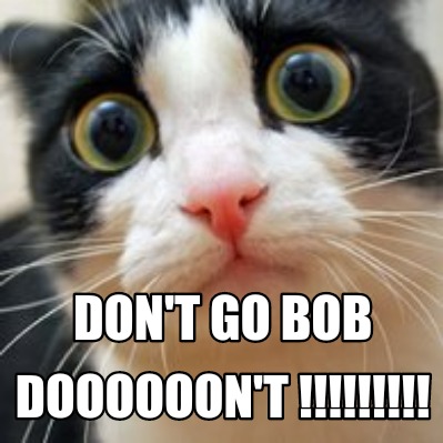 Meme Maker - DOOOOOON'T !!!!!!!!! DON'T GO BOB Meme Generator!