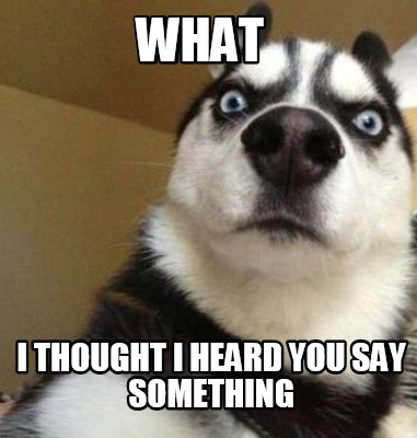 Meme Maker - What I thought I heard you say something Meme Generator!