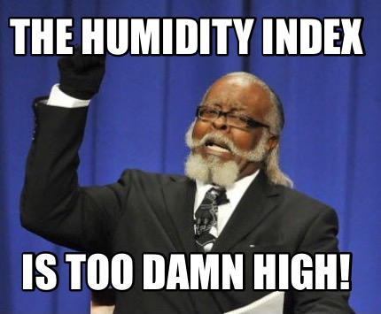 Meme Maker - The humidity index Is too damn high! Meme Generator!