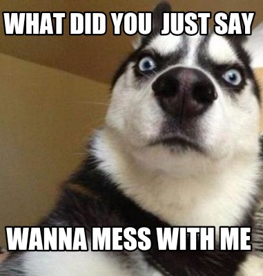Meme Maker - WHAT DID YOU JUST SAY WANNA MESS WITH ME Meme Generator!