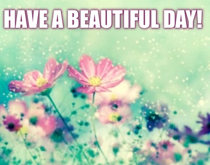 Meme Maker - Have a beautiful day! Meme Generator!