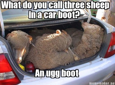 Meme Maker - What do you call three sheep in a car boot? An ugg boot ...