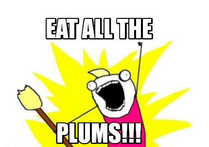 Meme Maker - EAT ALL THE PLUMS!!! Meme Generator!