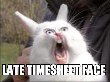 Meme Maker - LATE TIMESHEET FACE Meme Generator!